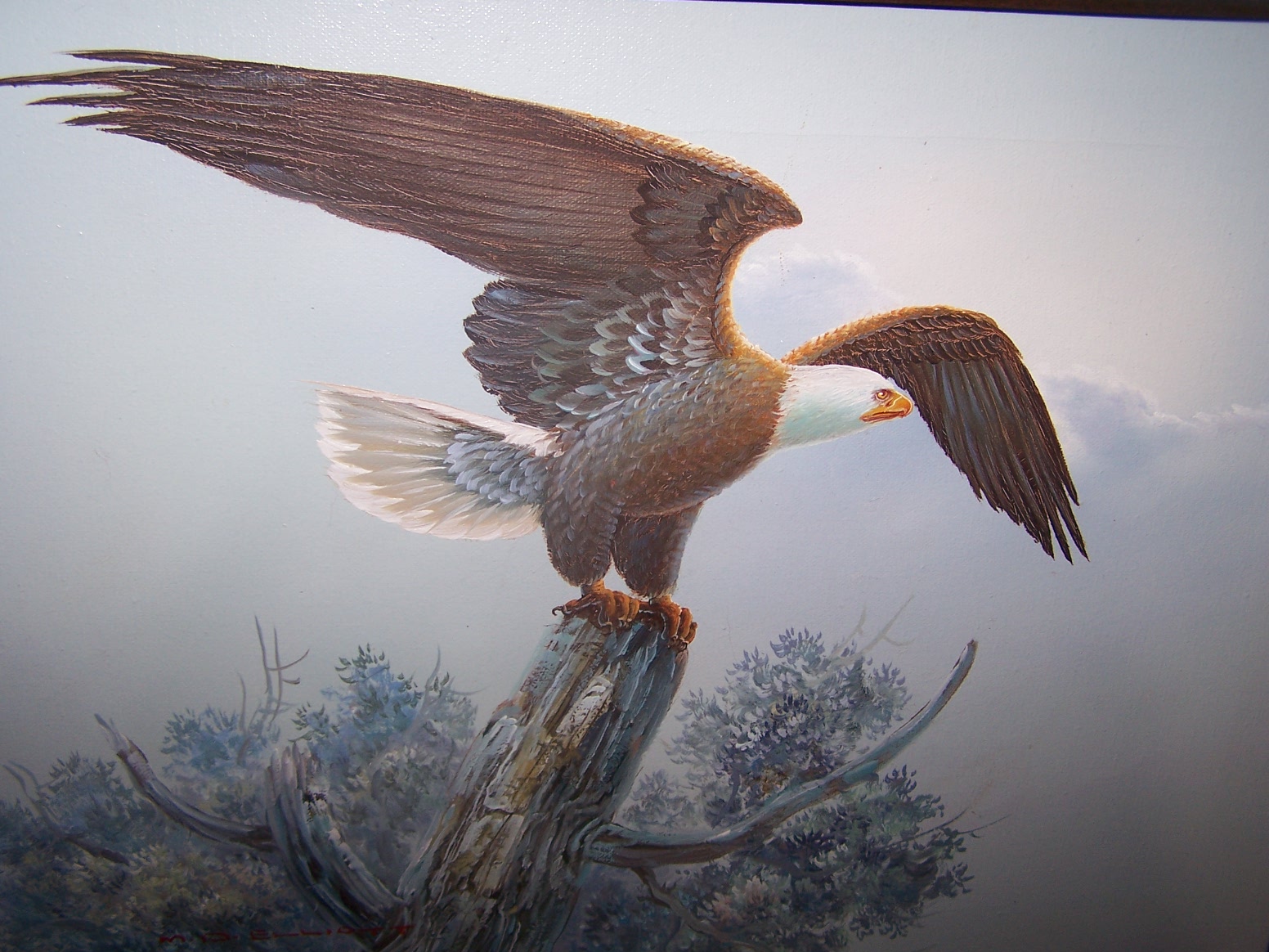 Bald Eagle Oil on Canvas M.P Elliott | Antiques Board