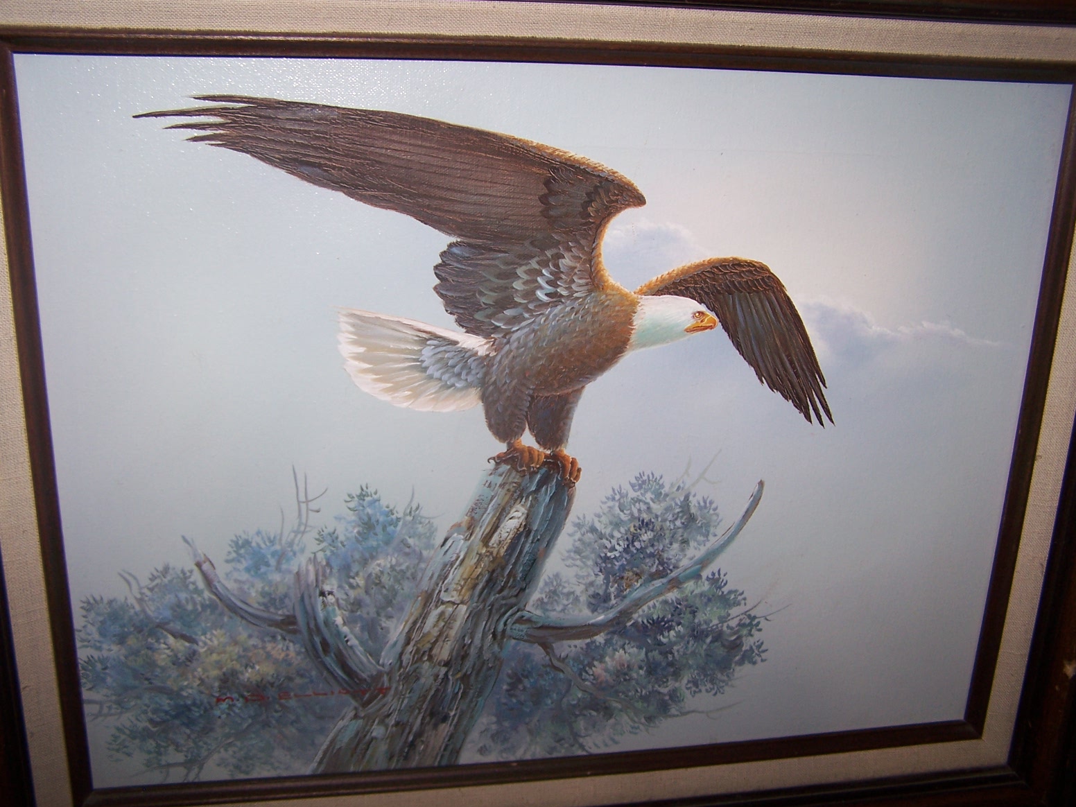 Bald Eagle Oil on Canvas M.P Elliott | Antiques Board