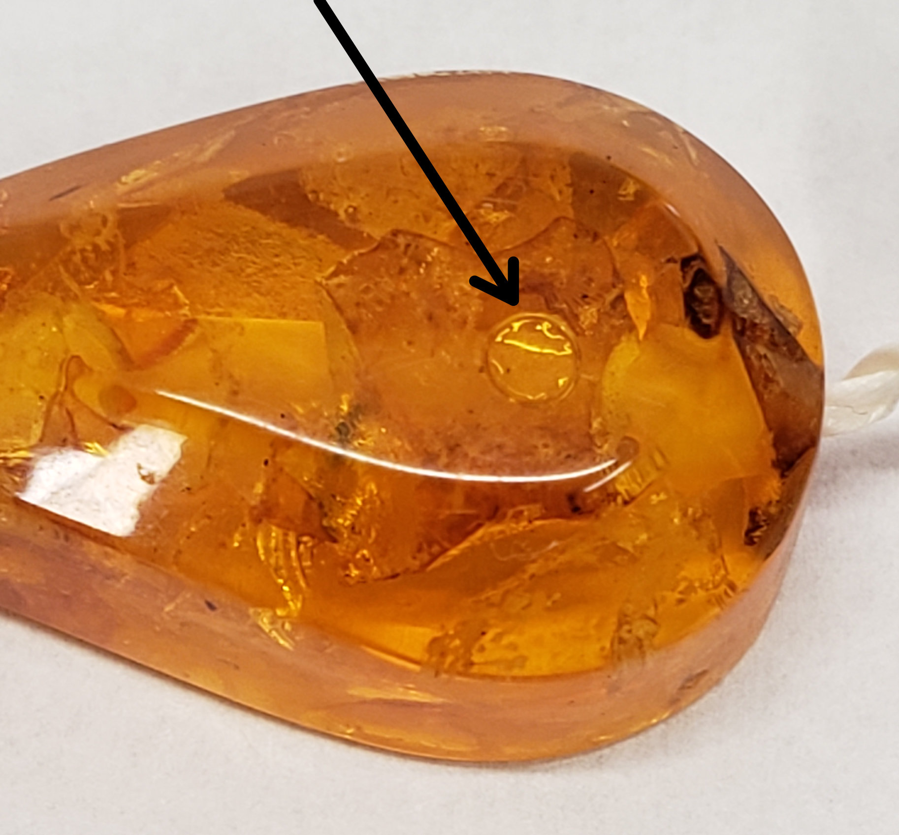 Is This a Reconstituted Amber Pendant Necklace? | Antiques Board