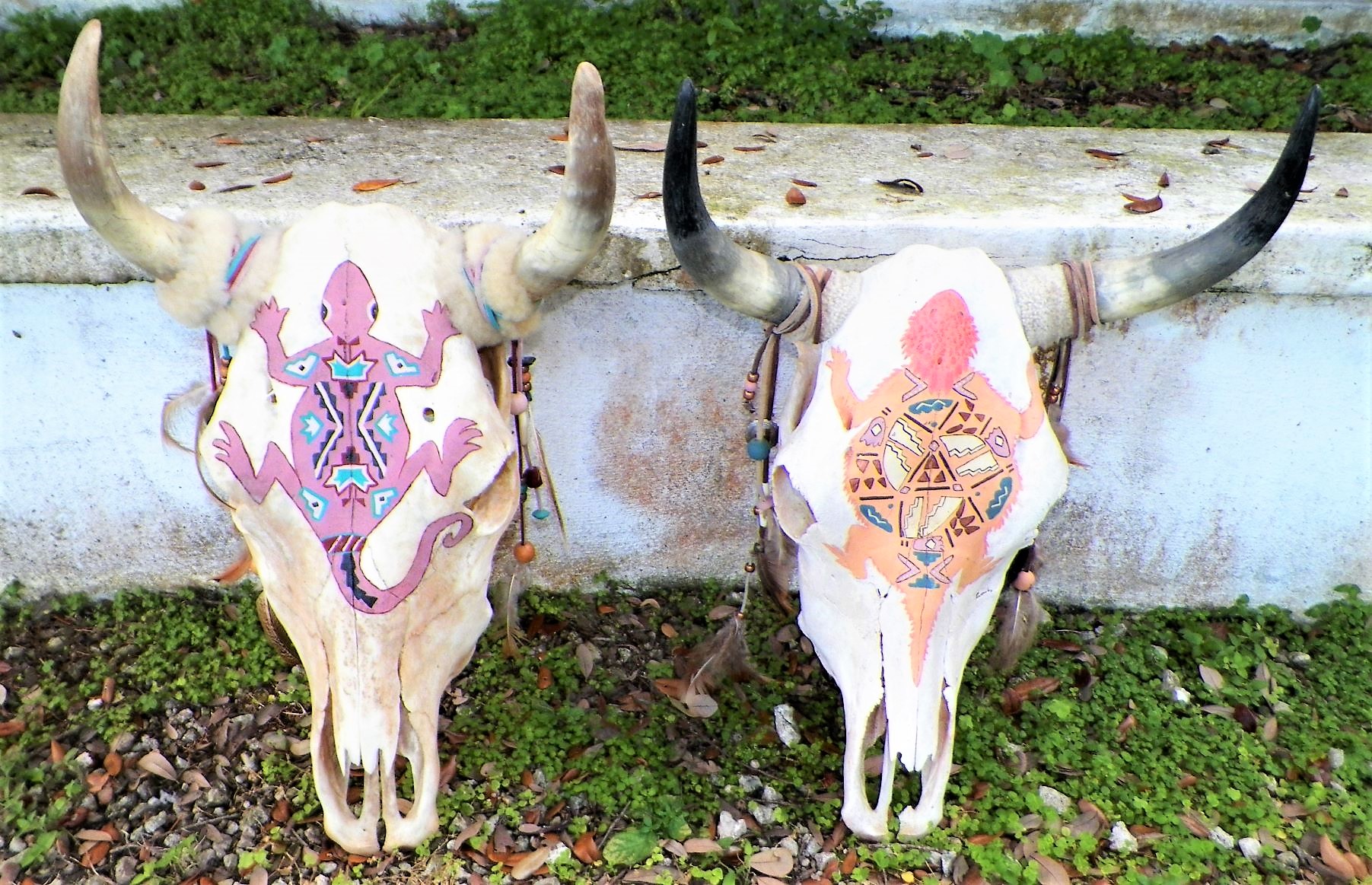 Native American Painted Buffalo(?) Skulls w/Signature | Antiques Board