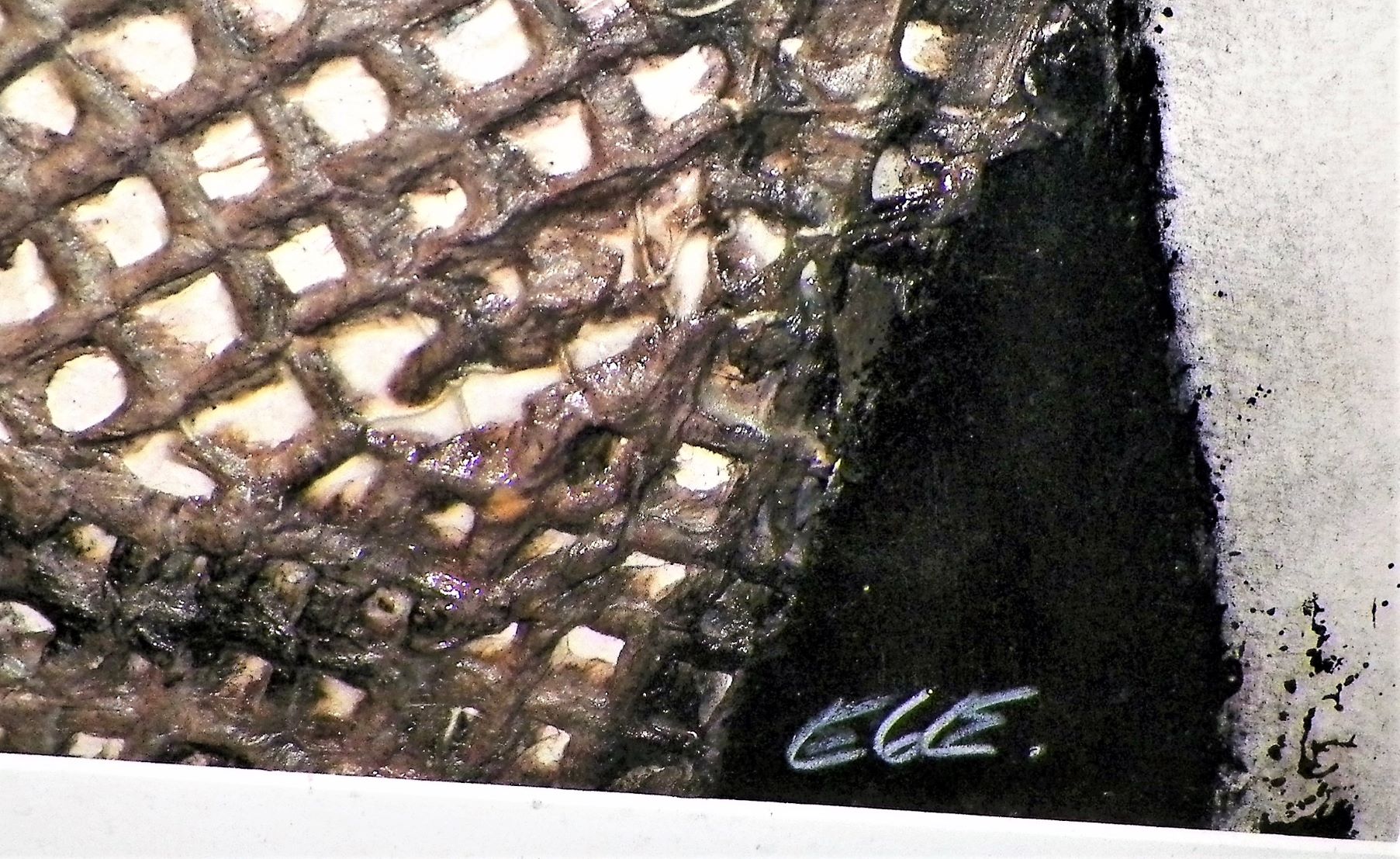 ANYONE KNOW OF A ARTIST WHO SIGNS E6E or EGE? | Antiques Board