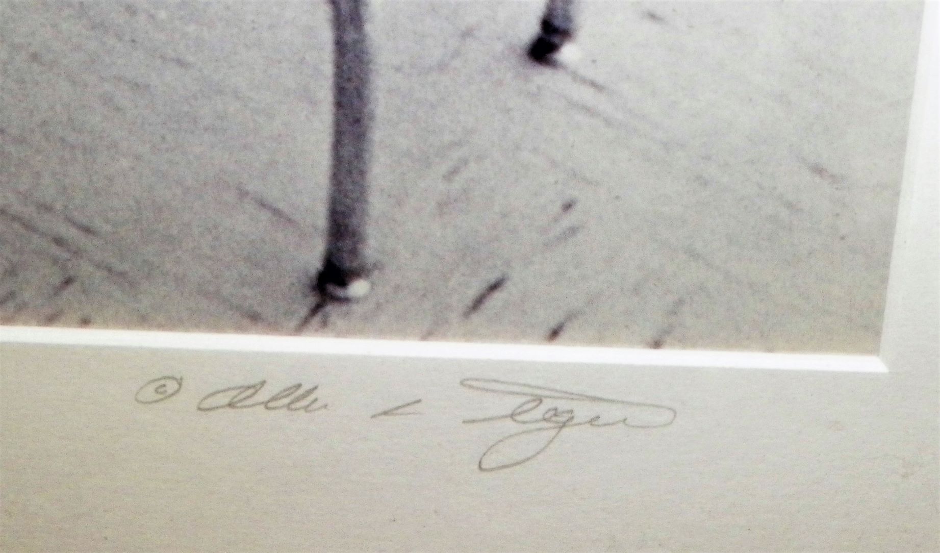 Photograph of a photograph? By listed photographer Allan Teger ...