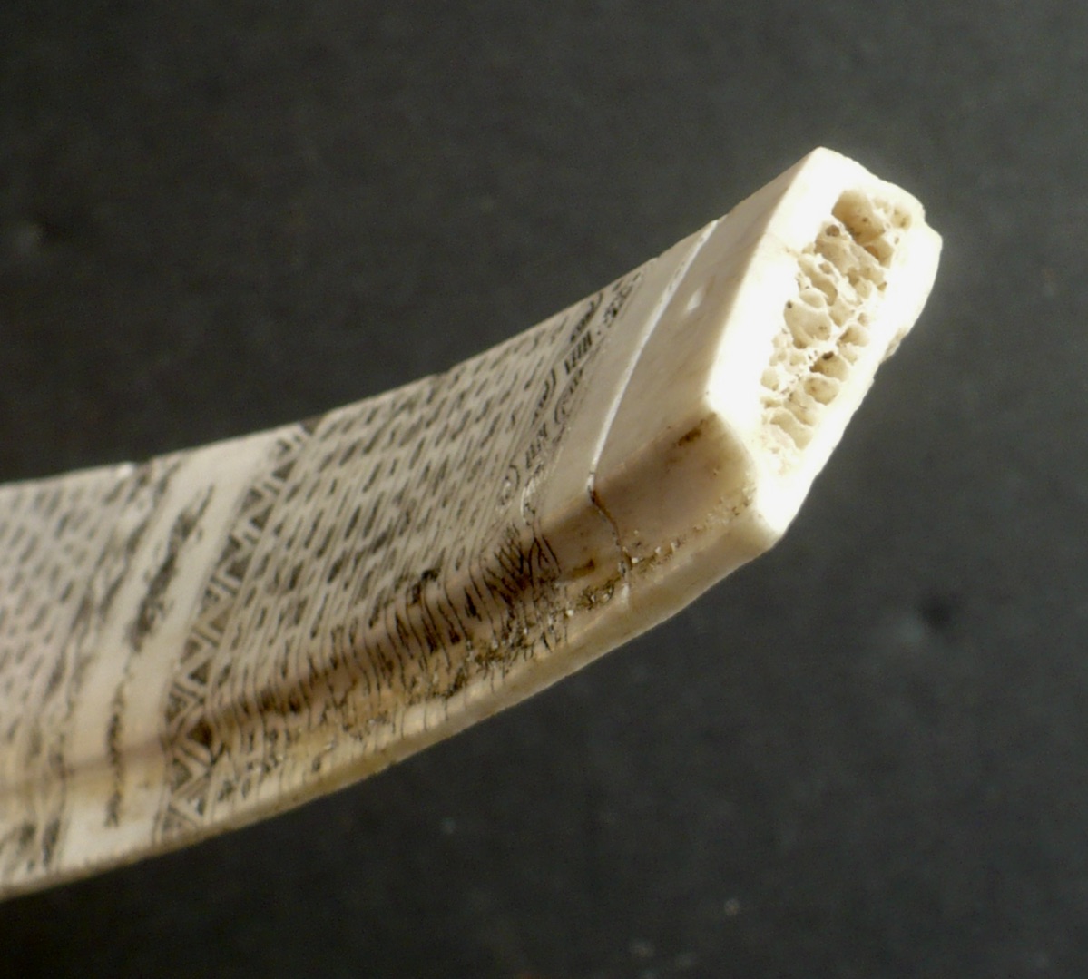 Mammalian Rib Bone; Calendar or Map? Inscribed Both Faces | Antiques Board