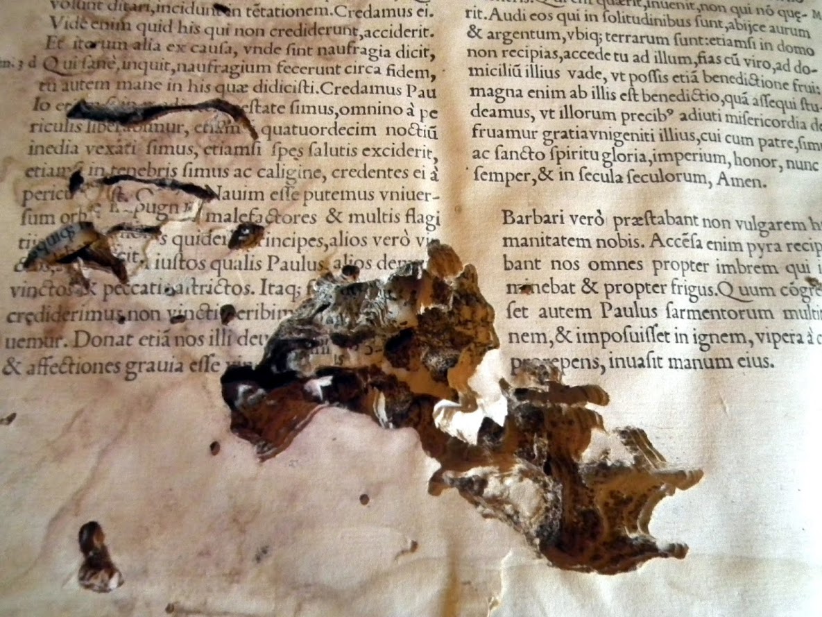 Book Horror: show off your books with horrible damage | Antiques Board