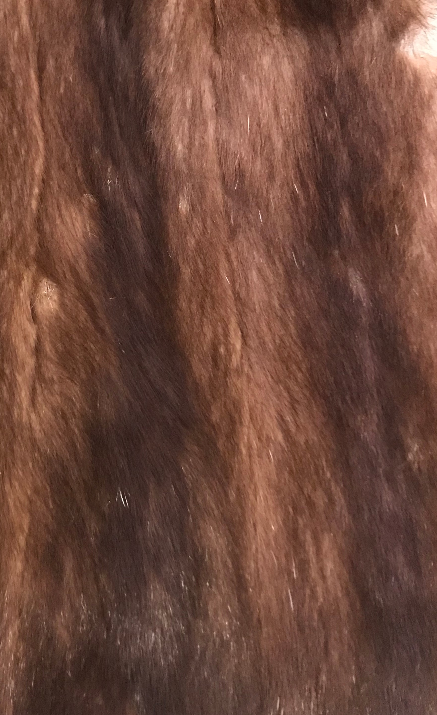 How To Identify Types Of Fur Coats - Tradingbasis