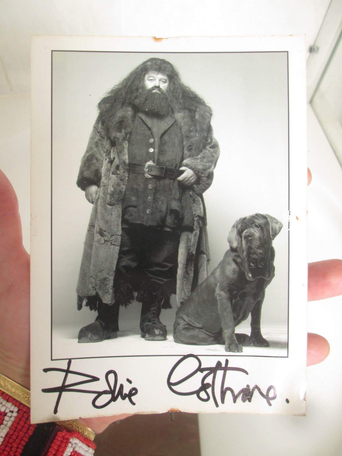 Signed Hagrid photo | Antiques Board