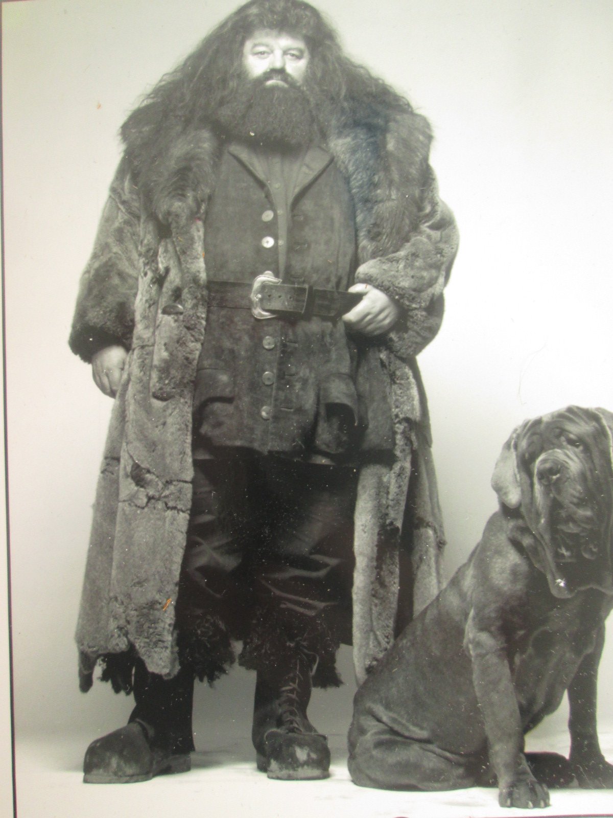 Signed Hagrid photo | Antiques Board