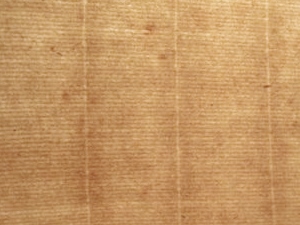 Livre de Corbeilles et vases de fleurs, Book Plate | Antiques Board