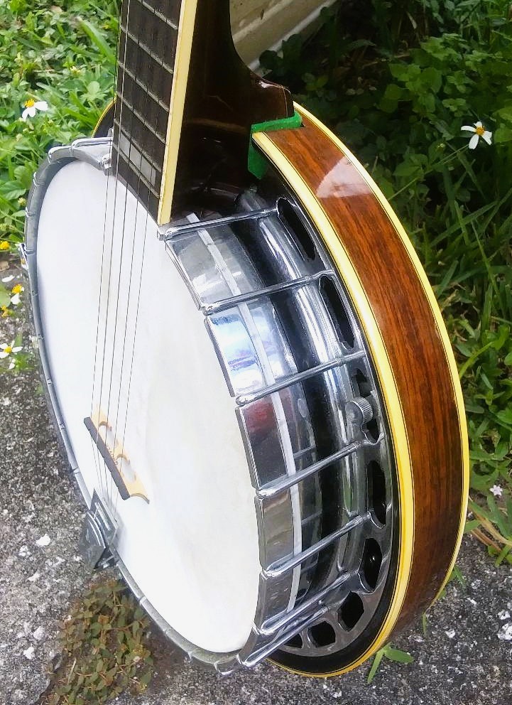 Any Banjo Pickers Here? Ever Heard of a Arita? Heaviest Banjo Ever ...