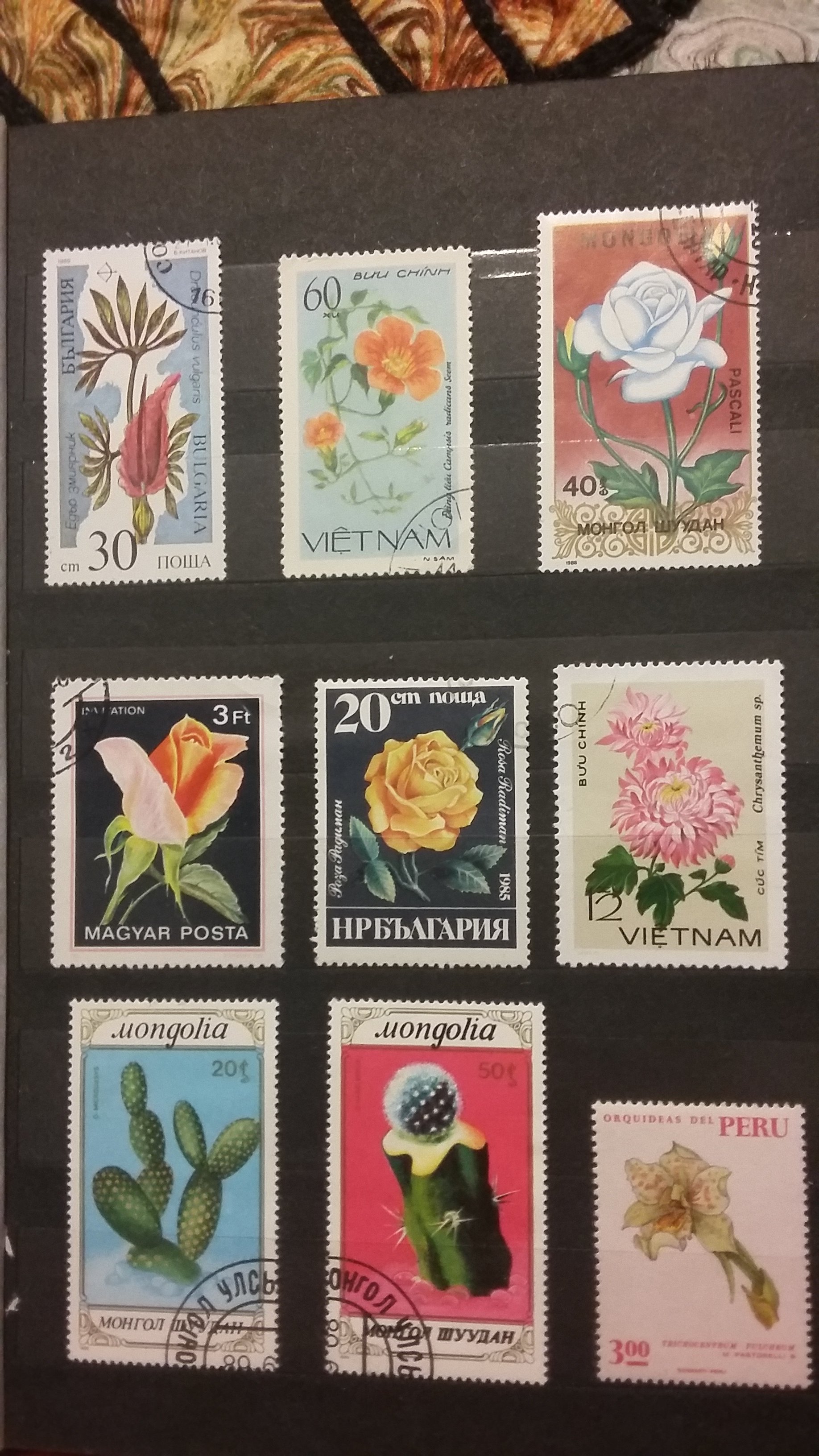 Stamp collection- anything of value? | Antiques Board